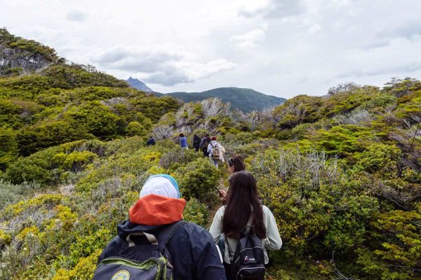 Isla Redonda, un tesoro natural en el Canal Beagle - Turismo en Ushuaia